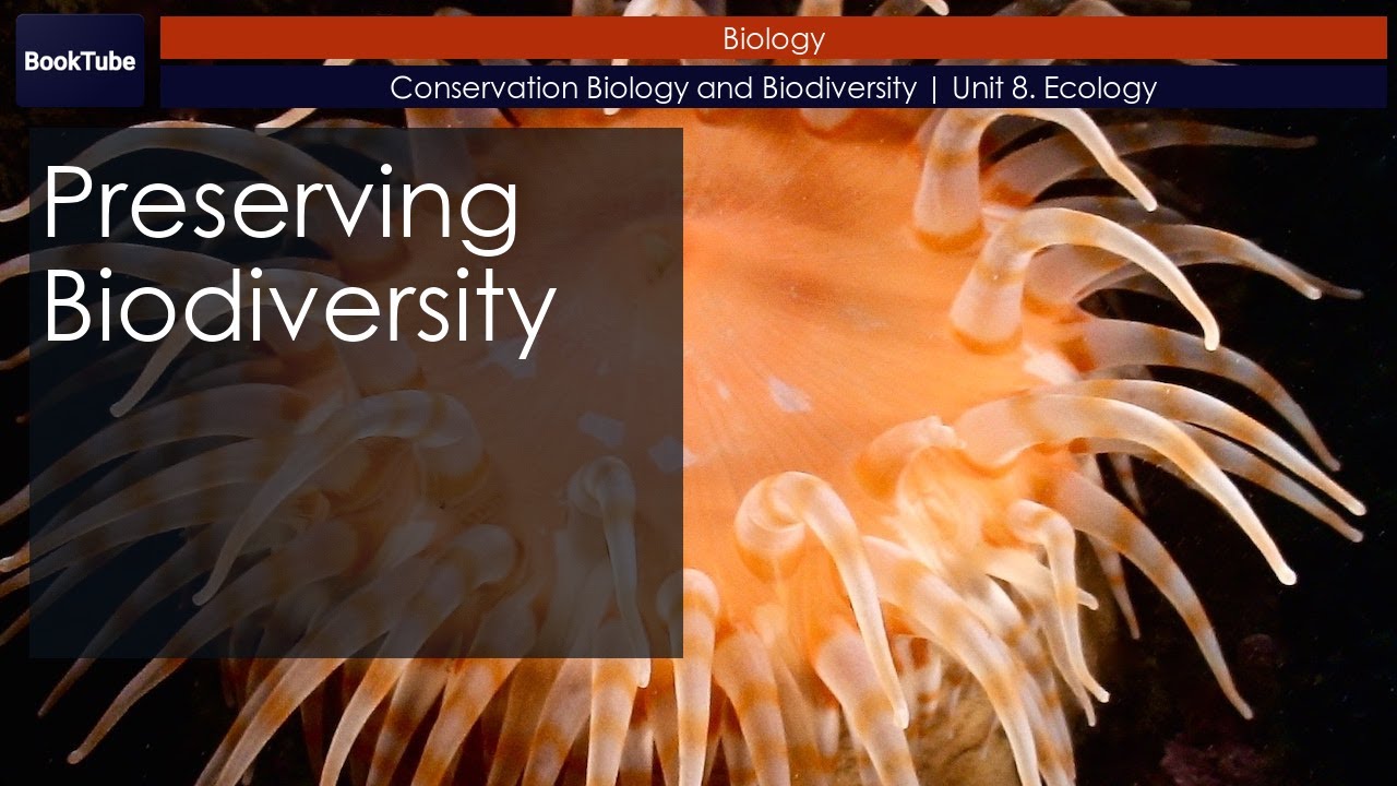 Preserving Biodiversity | Conservation Biology and Biodiversity | Unit 8. Ecology