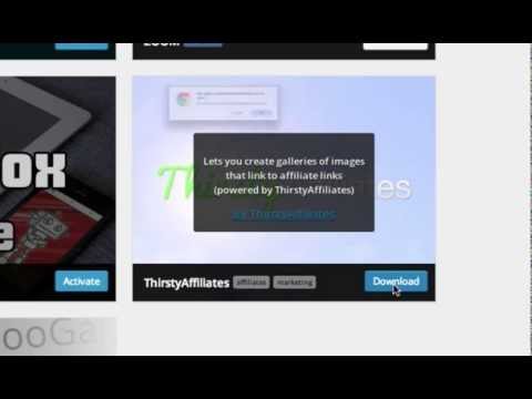How to Install and Activate the ThirstyAffiliates Extension for FooGallery