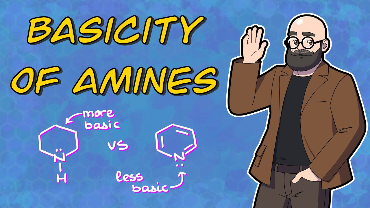 Basicity of Amines Explained with Examples