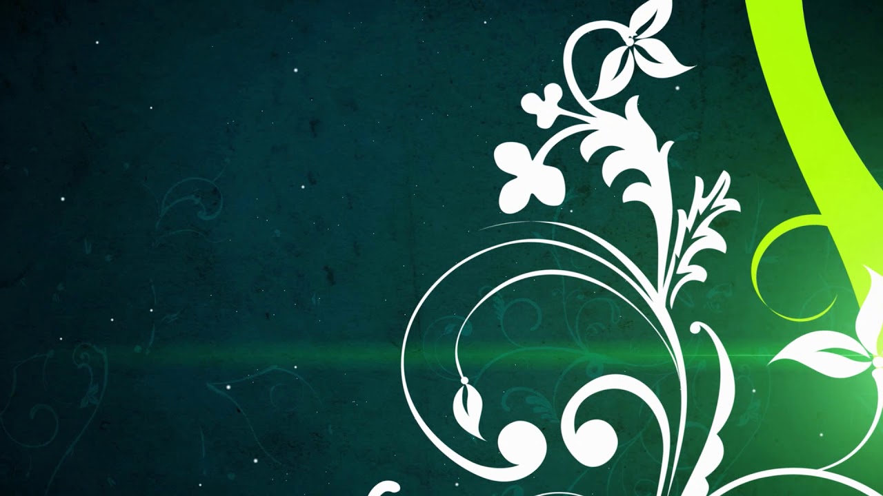 Vector Flower | Relaxing Screensaver