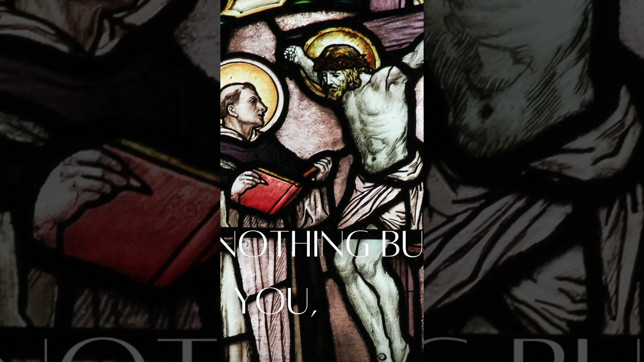 Why Aquinas stopped writing the Summa Theologiae      #theology #history #theologian #christian #fyp