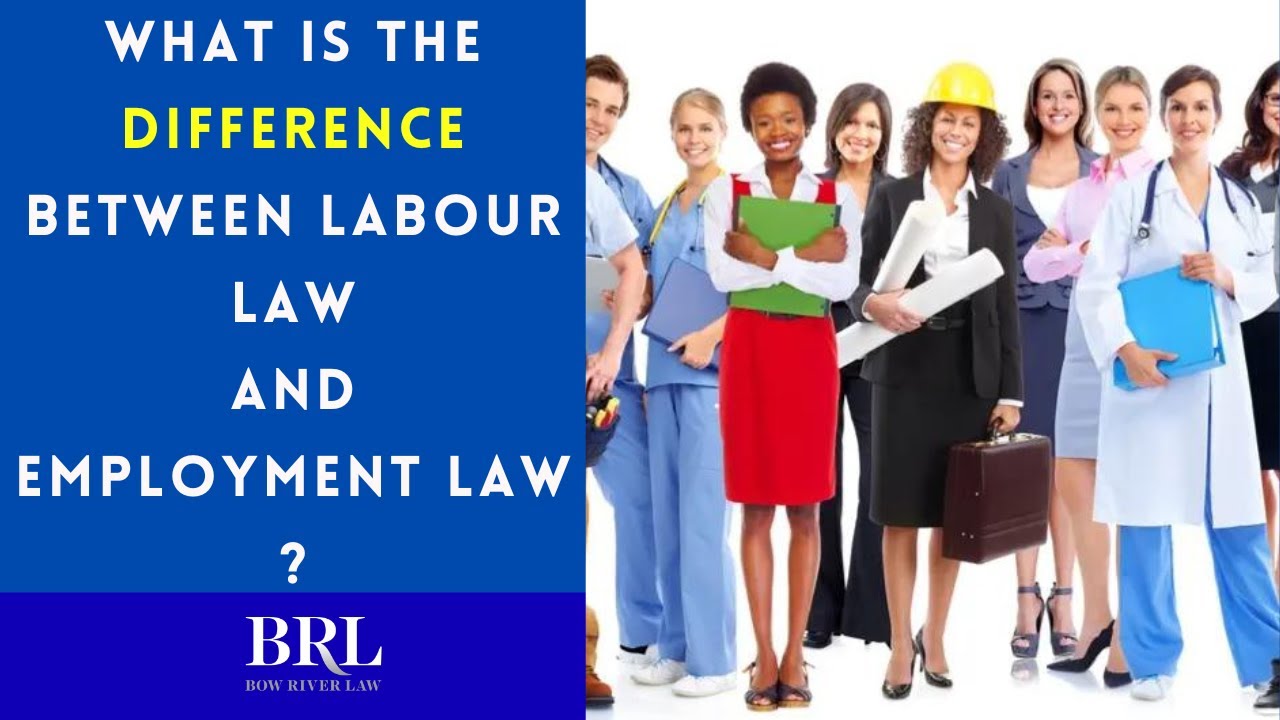 S2 E17: What is the difference between labour law and employment law?