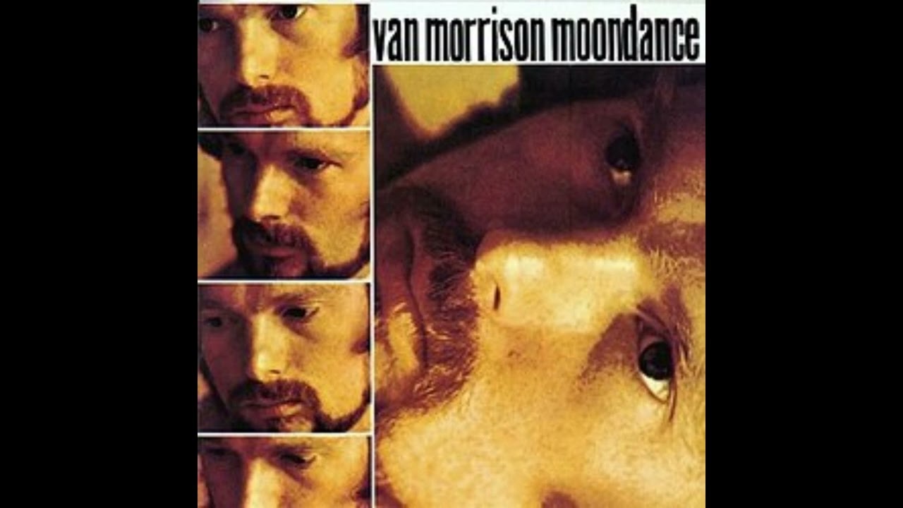 Van Morrison - Moondance - Full Vinyl Record