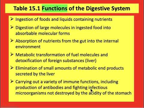 Physiology Chapter15_Digestion