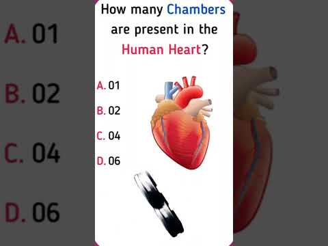 How many chambers are present in the human heart ✍️_#nursingquestion @r.k-nursingclasses7877