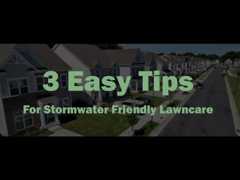 3 Easy Summer Tips To Protect Our Waterways   From The Dept Of Stormwater Management Portsmouth VA