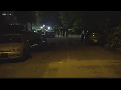 Man shot, killed at Brandon house party | 10News WTSP