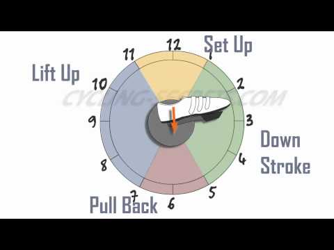 Basics of Pedal Stroke and Proper Pedaling Mechanics – El Paso Bicycle Club