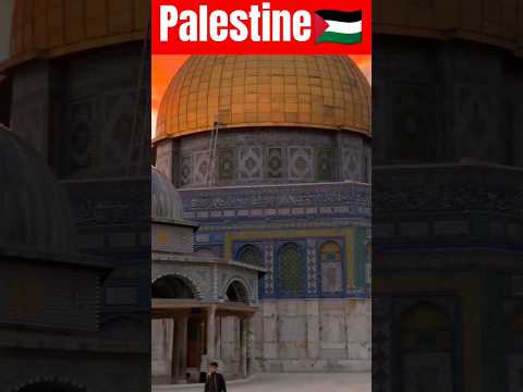 Palestine???????? #shorts #shortsfeed #palestine
