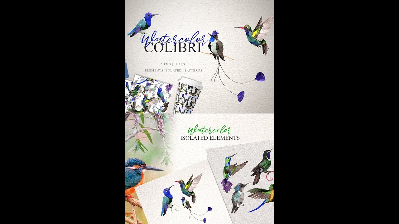 Colibri Watercolor png