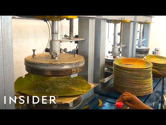 Paper Plate - Biodegradable Square Paper Plate Trader - Retailer from ...