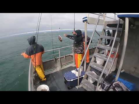 Dauntless Fishing 4 13 2025