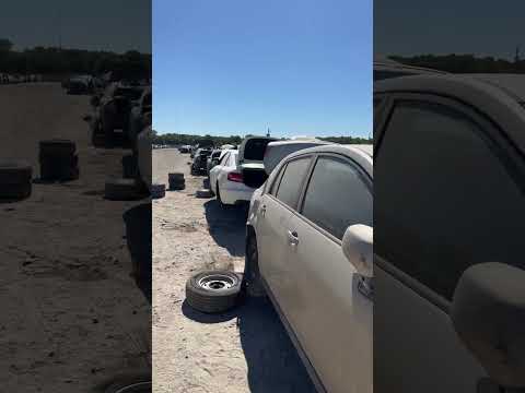 LKQ pick a part! Best Junk yard in America #shorts #cars #automotive