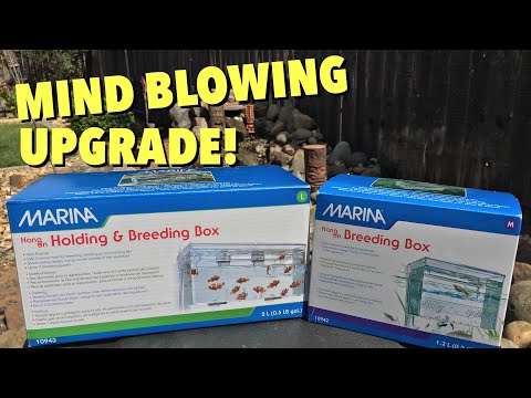 Fluval breeder box - Fish Breeding - Aquarium Co-Op Forum