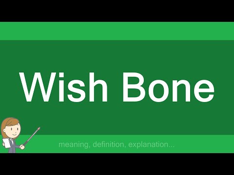 Wish Bone