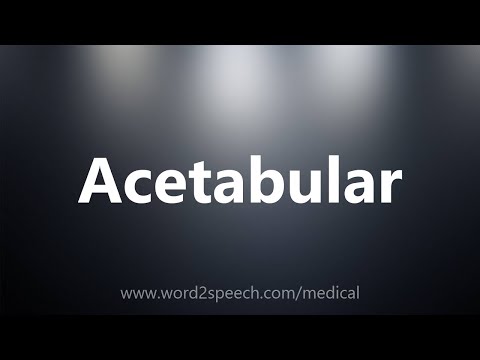 Acetabular - Medical Definition
