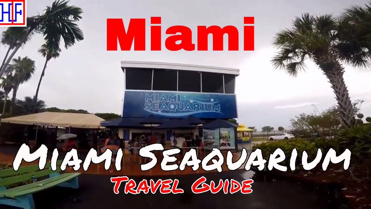 The Miami Seaquarium guide for visitors - HipFig Travel Guides