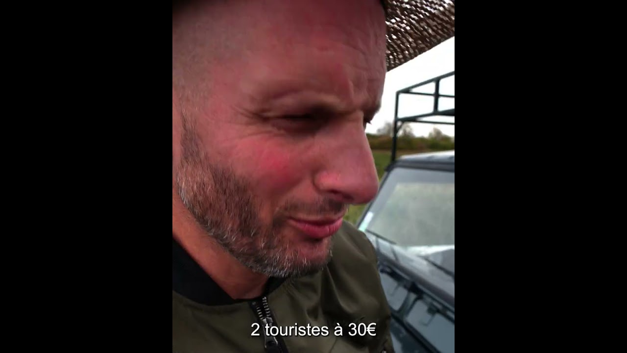 Un safari moto : observer les motards dans la nature
