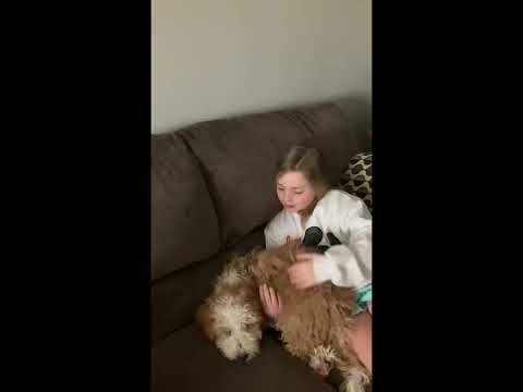 Nicknames for our dog max