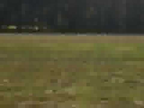 Three AT-6(?) Texans Taking off at the VirginiaBeach Airport
