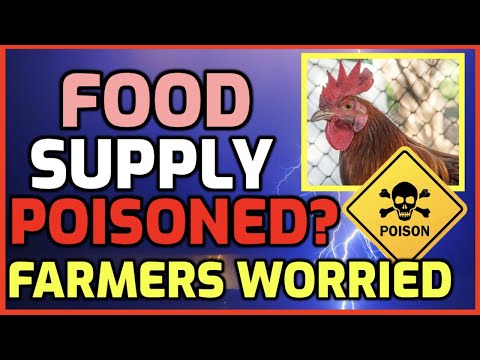 Food being POISONED? -Dozens of Farmers WORRIED - Major Egg & Food SHORTAGES | Patrick Humphrey