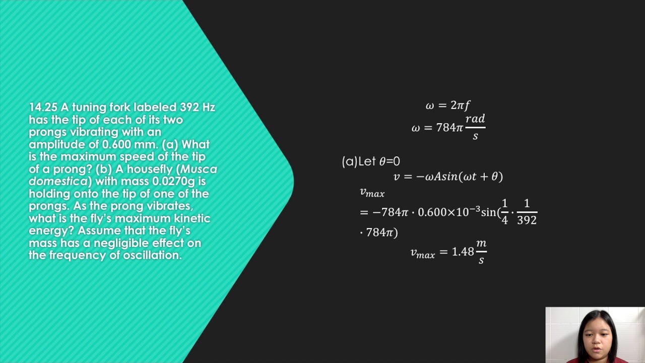 University Physics Chapter 14 Problems