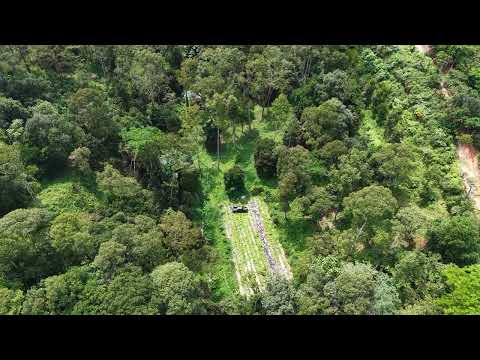 Le Jardin de la Reine Zuzu - Overview of the Existing Orchard