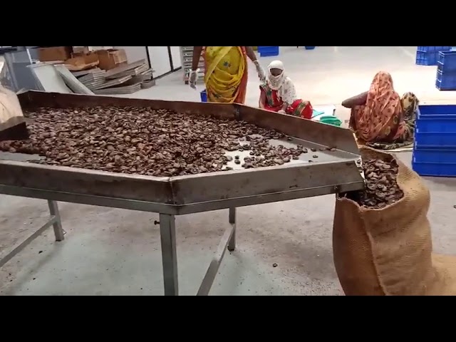 Automatic Cashew Shell Cutting Machine - Cashew Shelling Machine ...