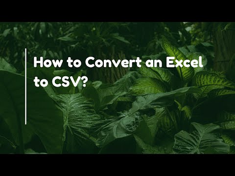 How to Convert an Excel to CSV?