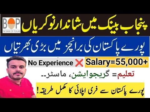 BOP Latest jobs update|How to apply for BOP Collection Officer Jobs|Banking jobs