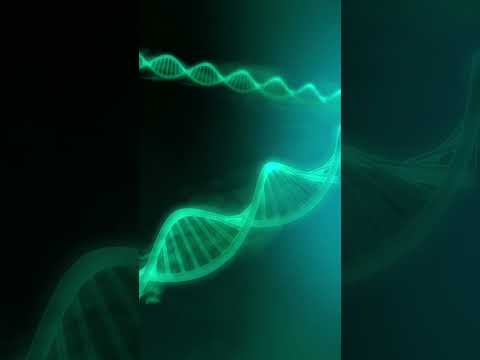 Twins Genetics #biology #genetics