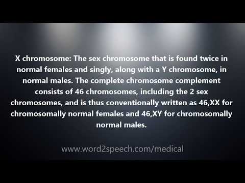 X chromosome - Medical Meaning and Pronunciation