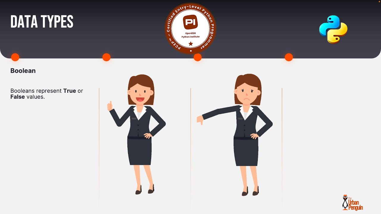 PCEP-019: Numeric Data Types in Python