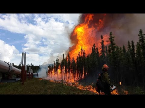 Goal 13 - Climate action