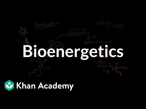 What Is Bioenergetics? — Definition & Overview - Expii