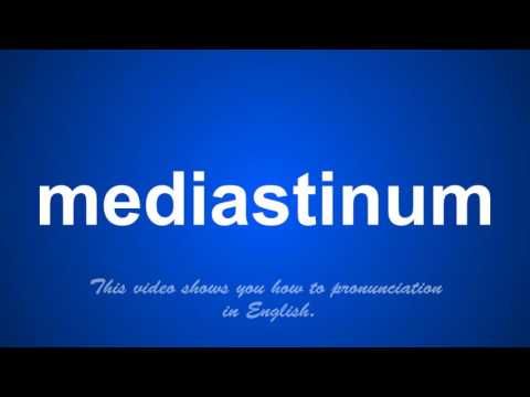 the correct pronunciation of mediatorial in English.