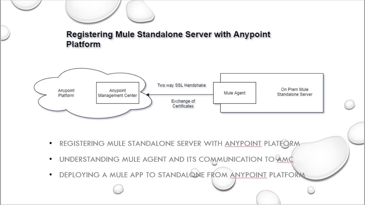 Hybrid Deployment: Registering Mule 4 standalone server with Anypoint Platform