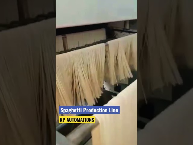 Pasta Making Machine - High Production Pasta Making Machine ...