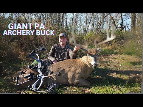 My Biggest Pennsylvania Archery Buck!