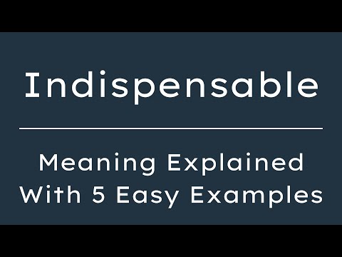 What Does Indispensable Mean? Indispensable Meaning in English With 5 Example Sentences