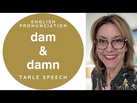 Learn How to Pronounce DAM & DAMN American English Homophone Pronunciation Lesson #learnenglish