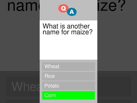 What is another name for maize?