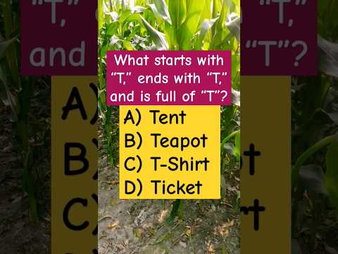 What starts with βT,β ends with βT,β and is full of βTβ? #shorts #quiz #riddles #puzzle #trending