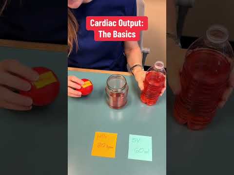 Cardiac Output Basics