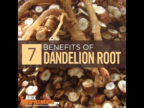Dandelion Root - dandelion root benefits - dandelion root extract - what is dandelion root good for