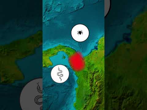 Why Is the Darien Gap So Dangerous?