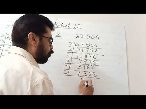 Worksheet 12
