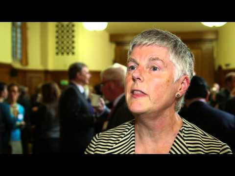 Social workers as expert witnesses