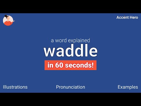 WADDLE - Meaning and Pronunciation