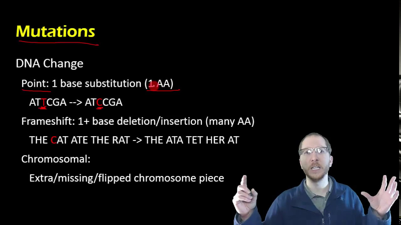 Biology:  Gene Expression and Mutation